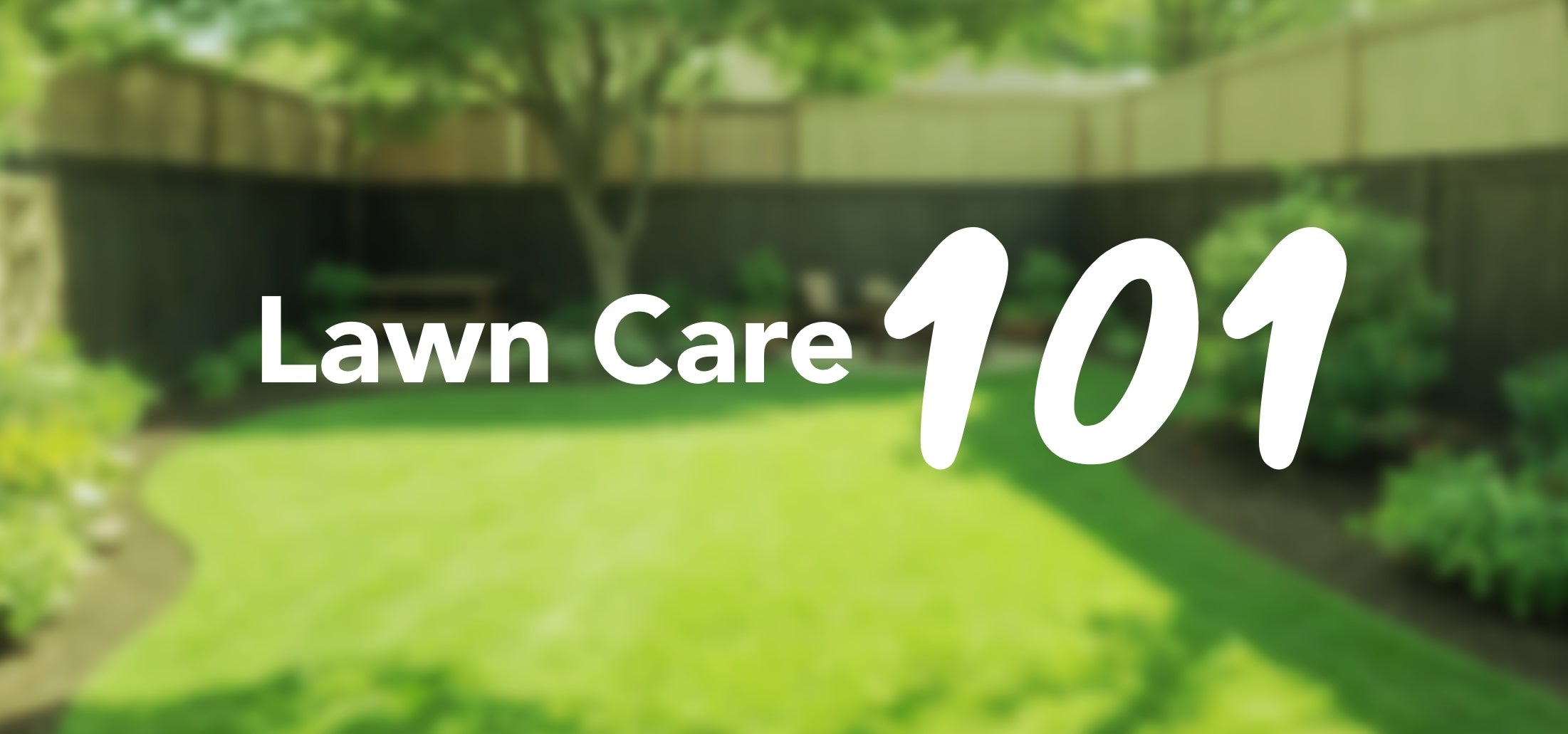 Lawn Care 101: Essential Tips For How To Care For Your Lawn – GrowTrax ...