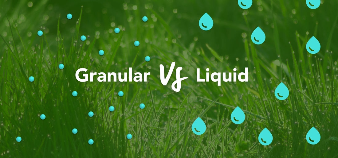 Pros and Cons of Granular and Liquid Fertilizers – GrowTrax Grass