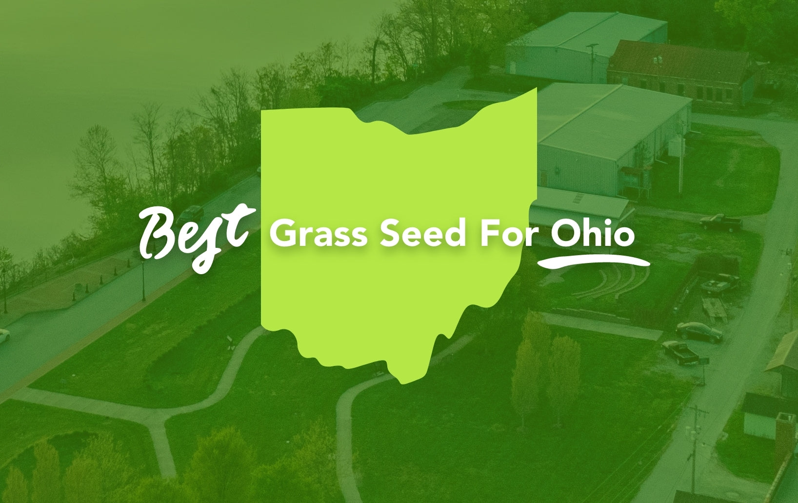 The Best Grass Seed for Ohio – GrowTrax Grass