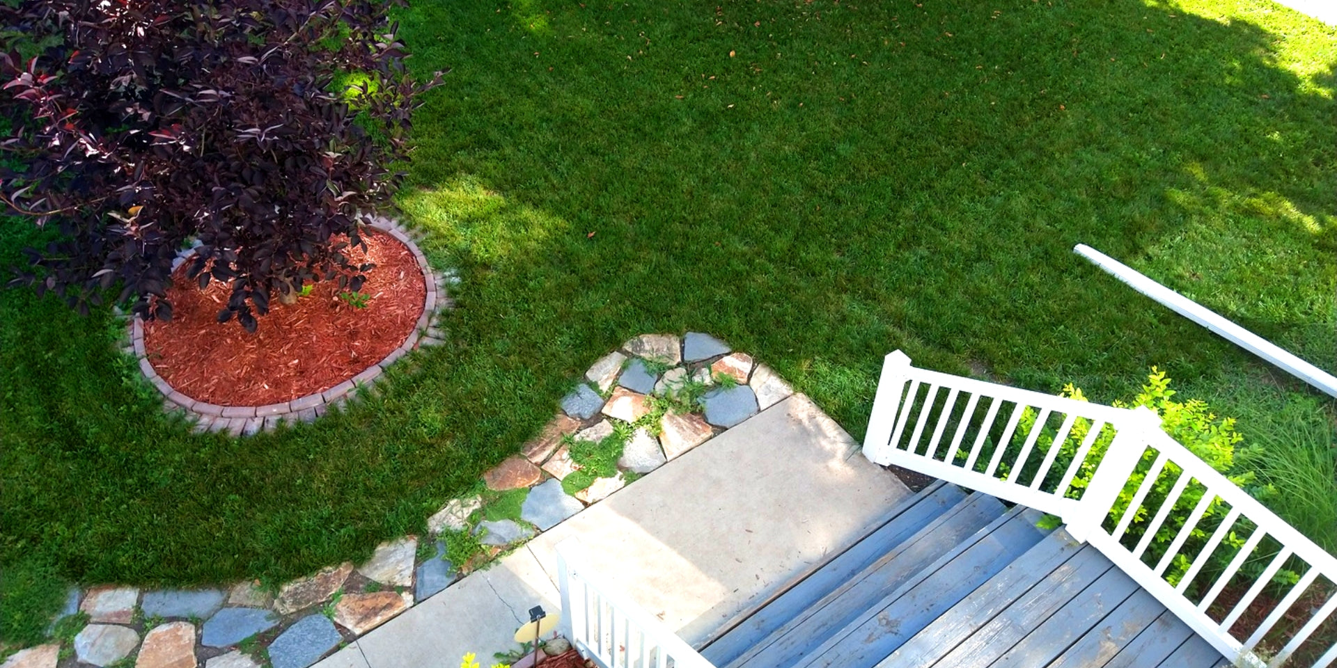 GROWTRAX LAWN REPAIR B – GrowTrax Grass