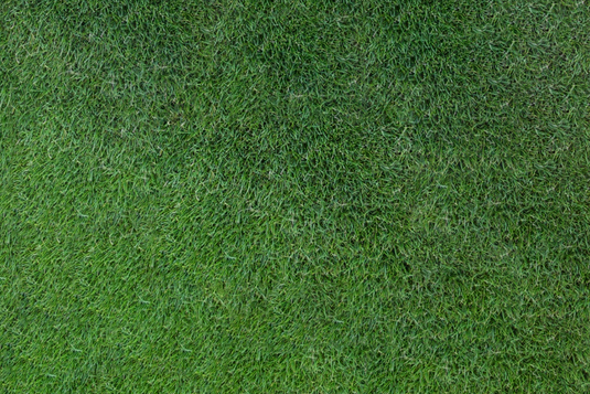 Growtrax New Lawn (200 sq ft roll) – Grotrax Grass