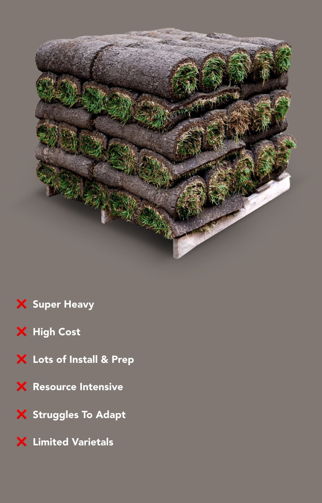 GrowTrax Grass Seed Rolls | Biodegradable Grass Seed Mats