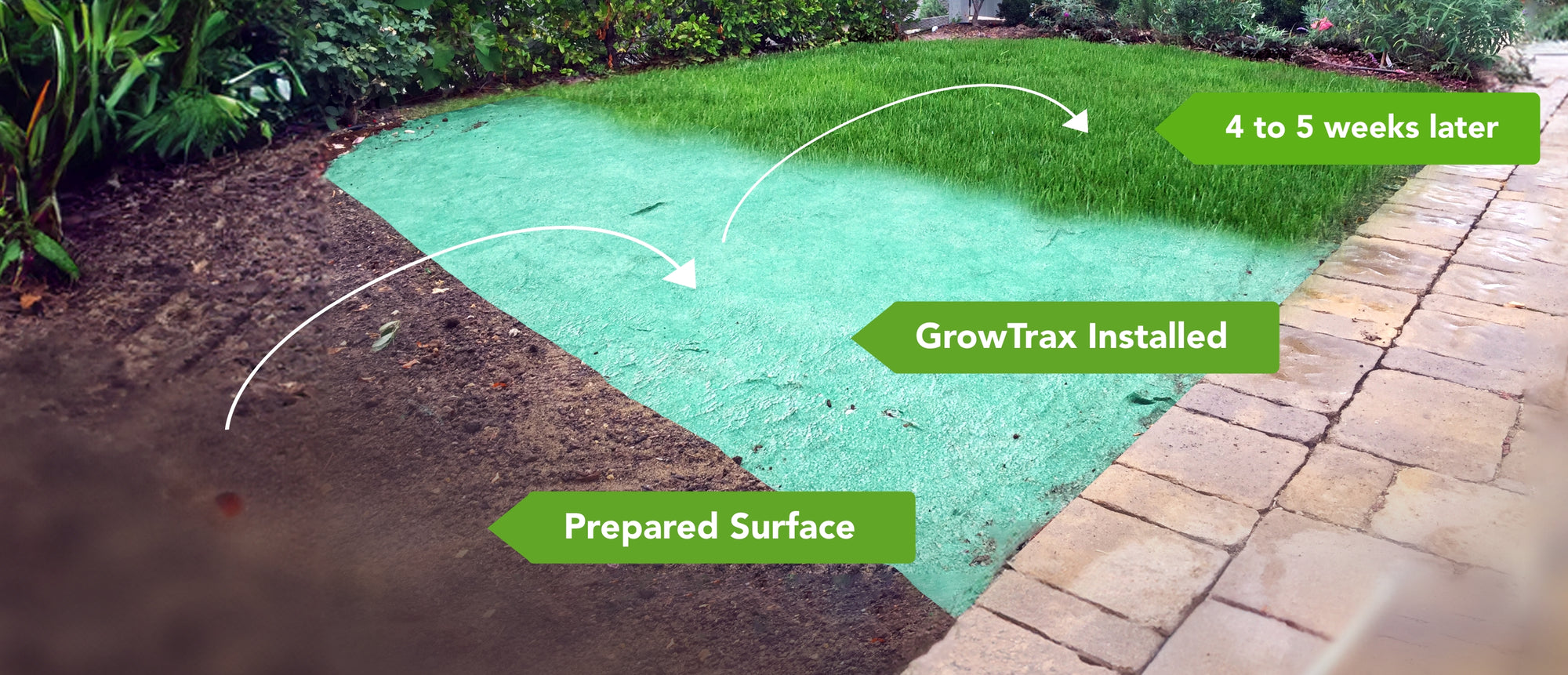GrowTrax Grass Seed Rolls | Biodegradable Grass Seed Mats