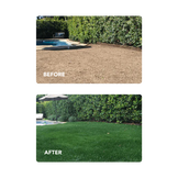New Lawn (200 sq ft roll) – GrowTrax Grass