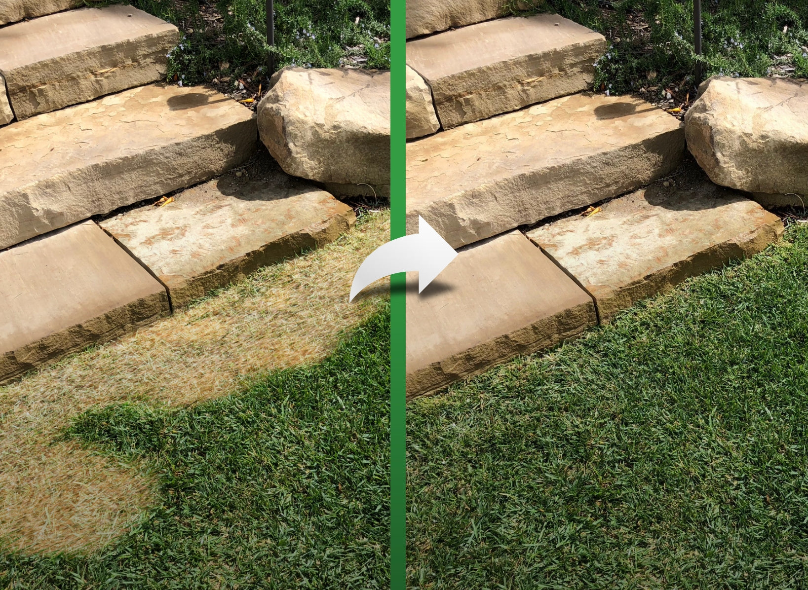 Growtrax New Lawn (200 sq ft roll) – Grotrax Grass