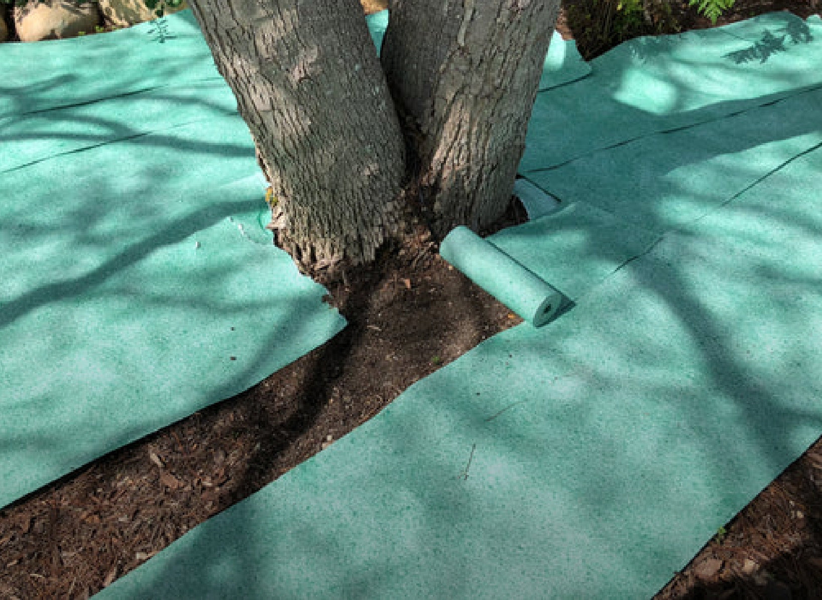 Growtrax New Lawn (200 sq ft roll) – Grotrax Grass