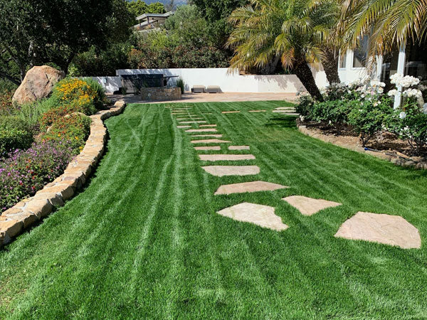 Customer Photos – Grotrax Grass