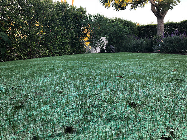 Customer Photos – GrowTrax Grass