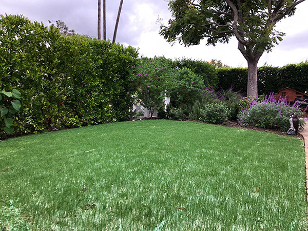 Customer Photos – Grotrax Grass