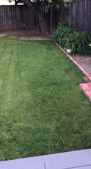Customer Photos – Grotrax Grass