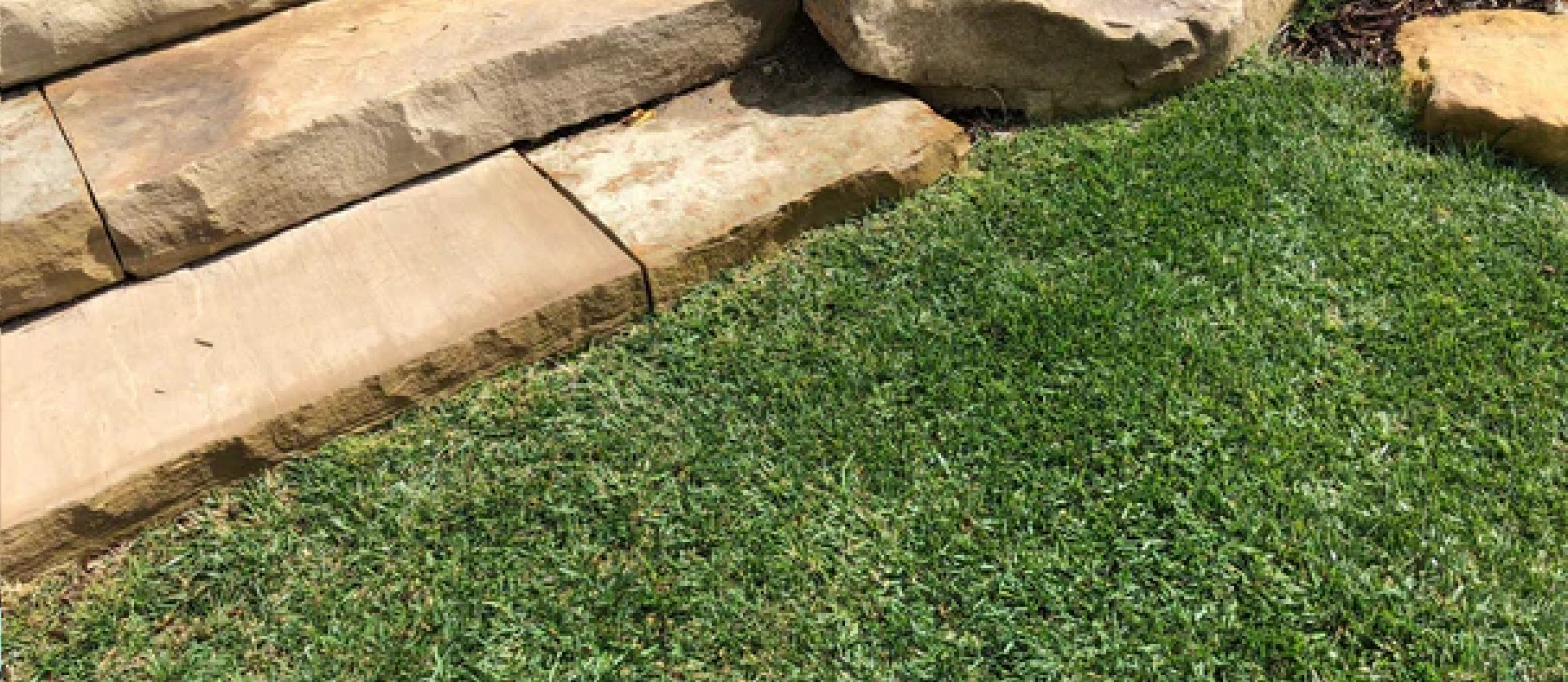 Growtrax New Lawn (200 sq ft roll) – Grotrax Grass